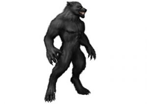 The Defiance Werewolf – Toledo History Box